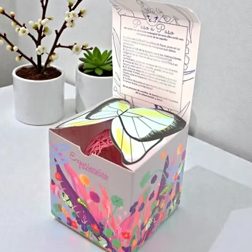 Mariposa por Gratitud – Mariposas son Colombia
